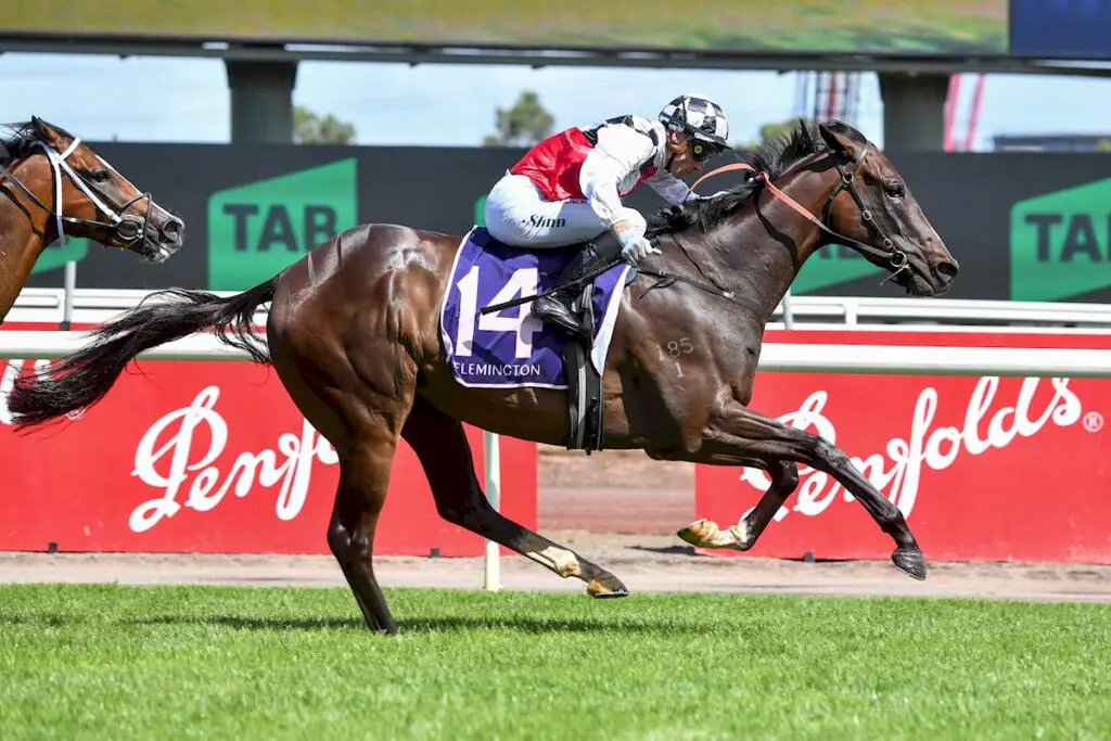 Sepals' CS Hayes Stakes Win Sets Up Australian Guineas Tilt