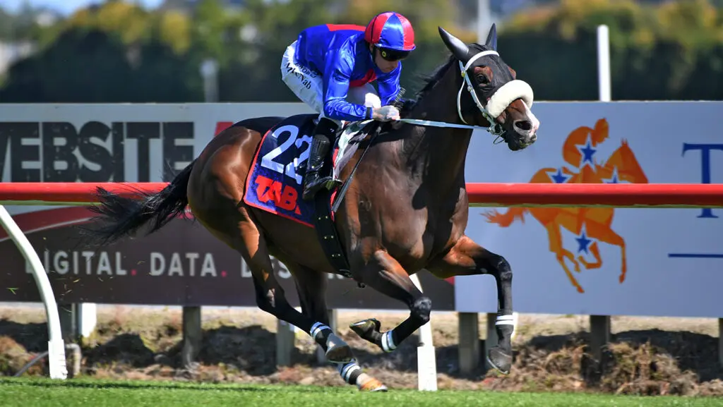 El Vencedor To Contest 2025 FWD QEII Cup At Sha Tin