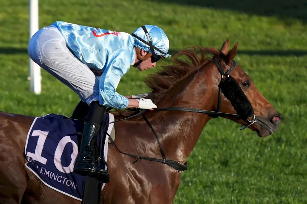 King Of Roseau Dominates Group 3 Aurie’s Star Handicap