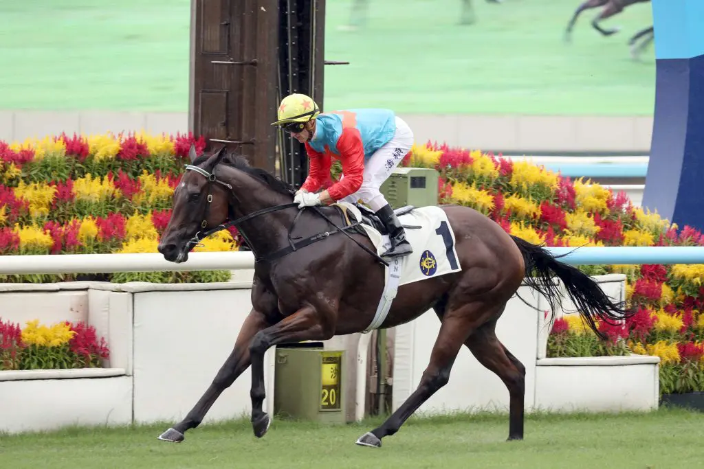 Ka Ying Rising Kicks Off Everest Campaign With Sha Tin Triumph
