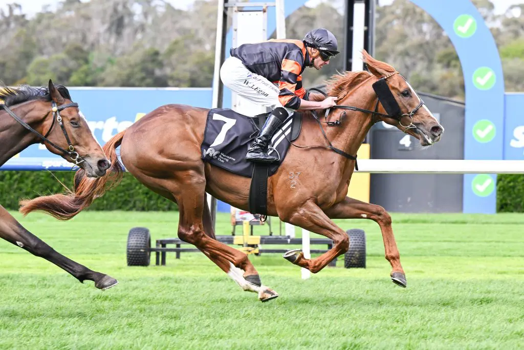 Dominic Sutton's Sulek Breaks Maiden In Style At Sandown