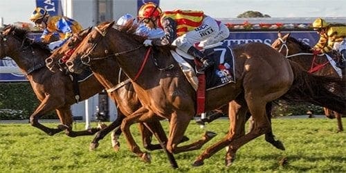 2023 Doomben Cup Betting Guide | Field | Race Info | Odds