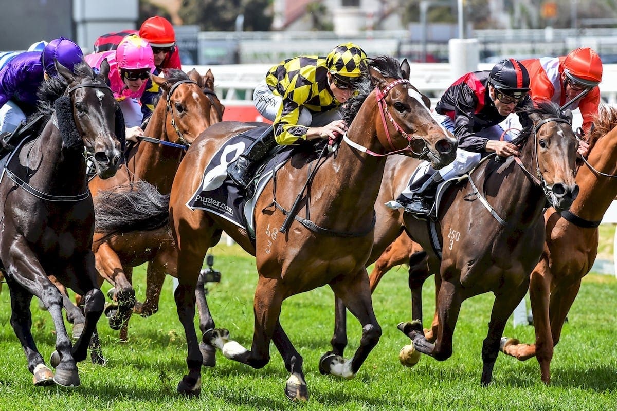 Weir wins consecutive races on Melbourne Cup Day | Horse Betting