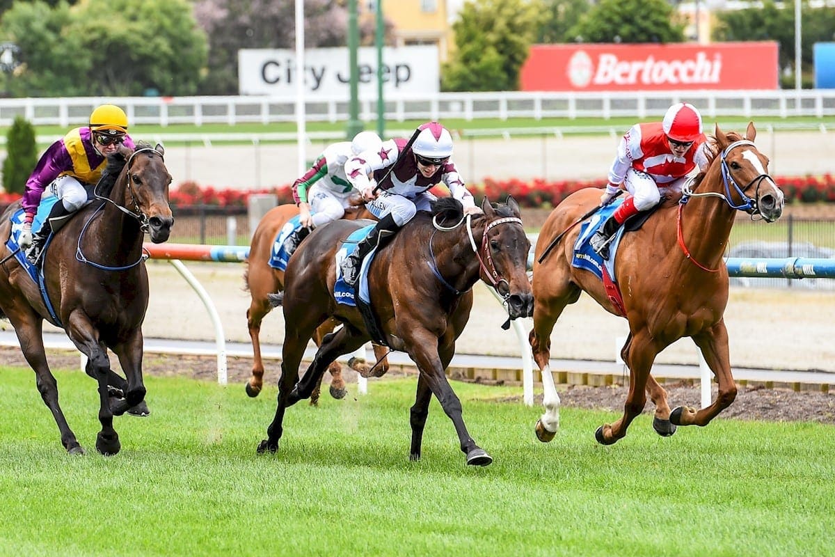 Lyuba returns to form with Moonee Valley win | Horse Betting