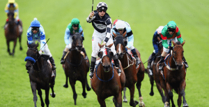 New Zealand Horse Racing Guide | How To Bet On NZ Horse Racing