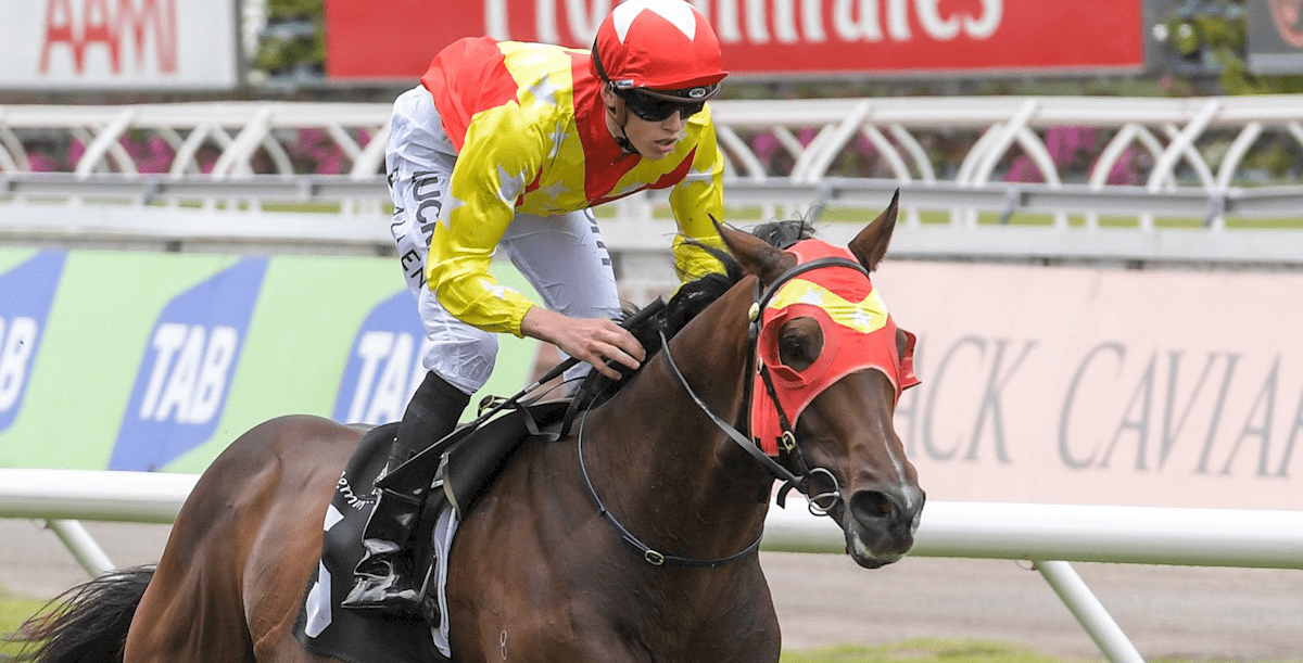 Tolson-Proctor's Well Sprung beats injury for Flemington win | Horse ...