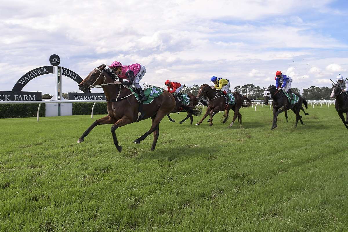 Thunderstorm swamps Warwick Farm races | Horse Betting