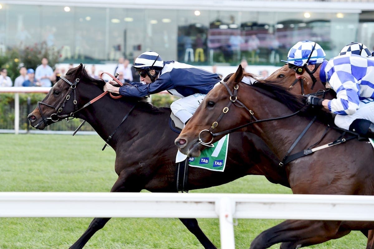 Supido gets another shot at a Group One | Horse Betting