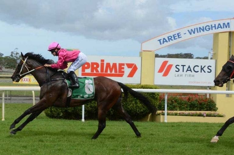 Taree Horse Racing Tips & Top Value Bets | Monday, January 11