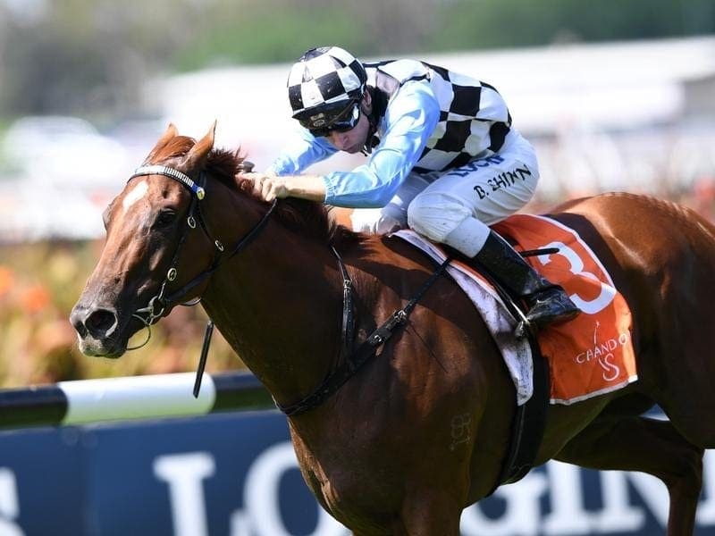 I Am Excited claims Darby Munro Stakes | Horse Betting