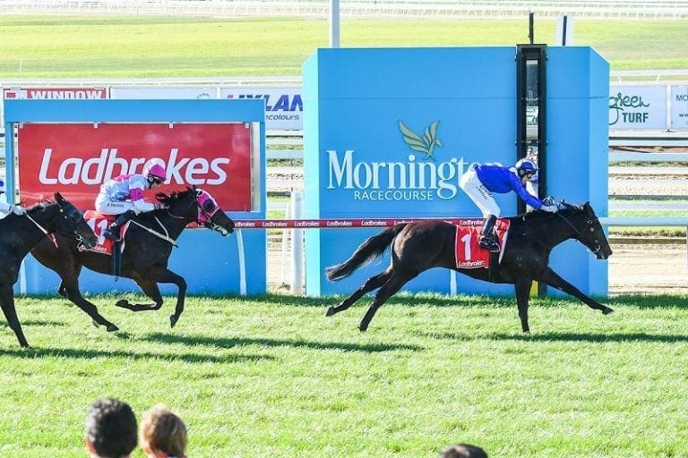 Mornington Horse Racing Tips & Best Bets | Sun, 27 December 2020
