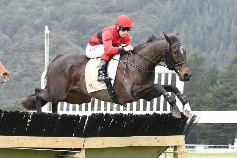 Hurdler gives weight and a beating to rivals | Horse Betting