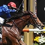 Melbourne Cup Winners | 1861 - 2021 History & Stats