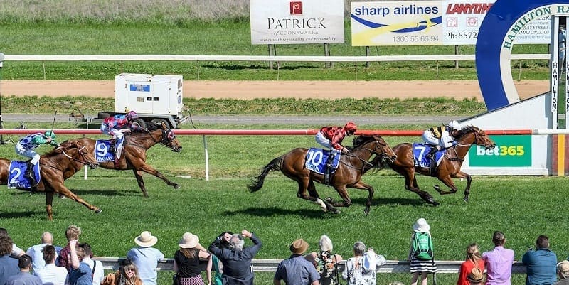 2022 Hamilton Cup Betting Guide | Country Racing Tips & Odds