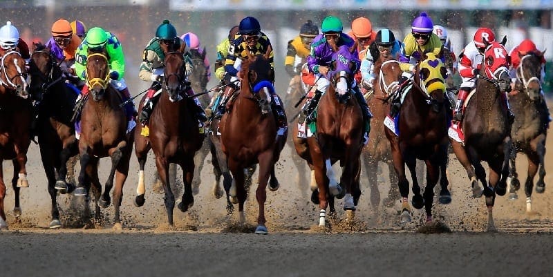 Colonel E R Bradley Handicap Usa Horse Racing Information