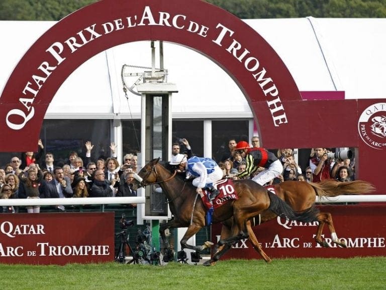 France horse racing news | Horse Betting