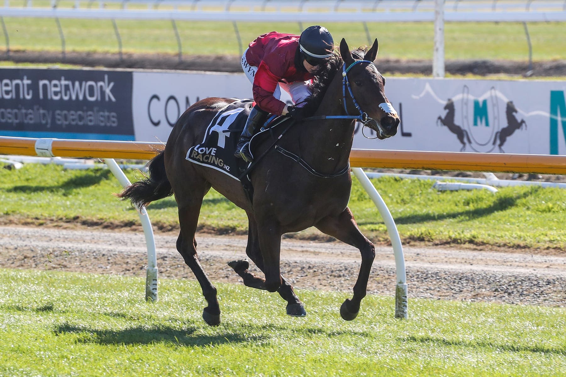 Rae filly impresses with Riccarton victory