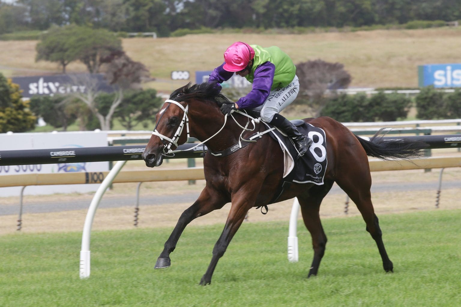 Hickmott continues red hot form with Kiwis