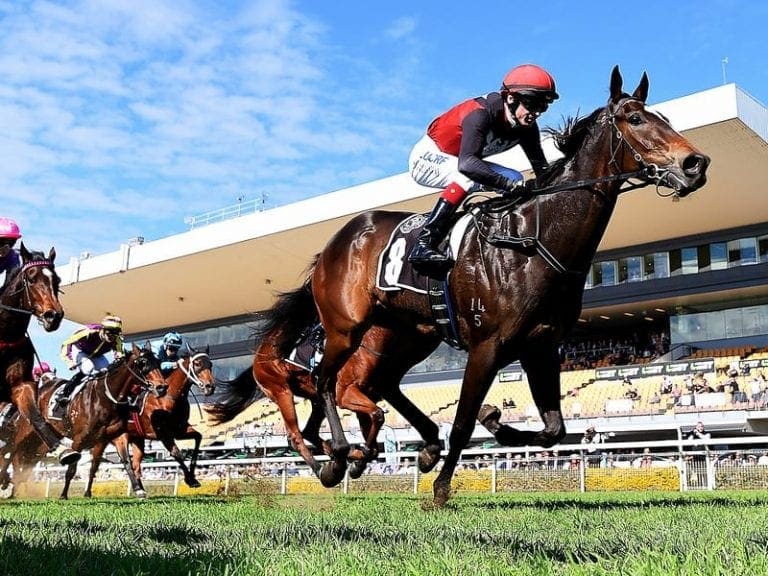 Saturday racing tips for Doomben | Best odds | Value bets