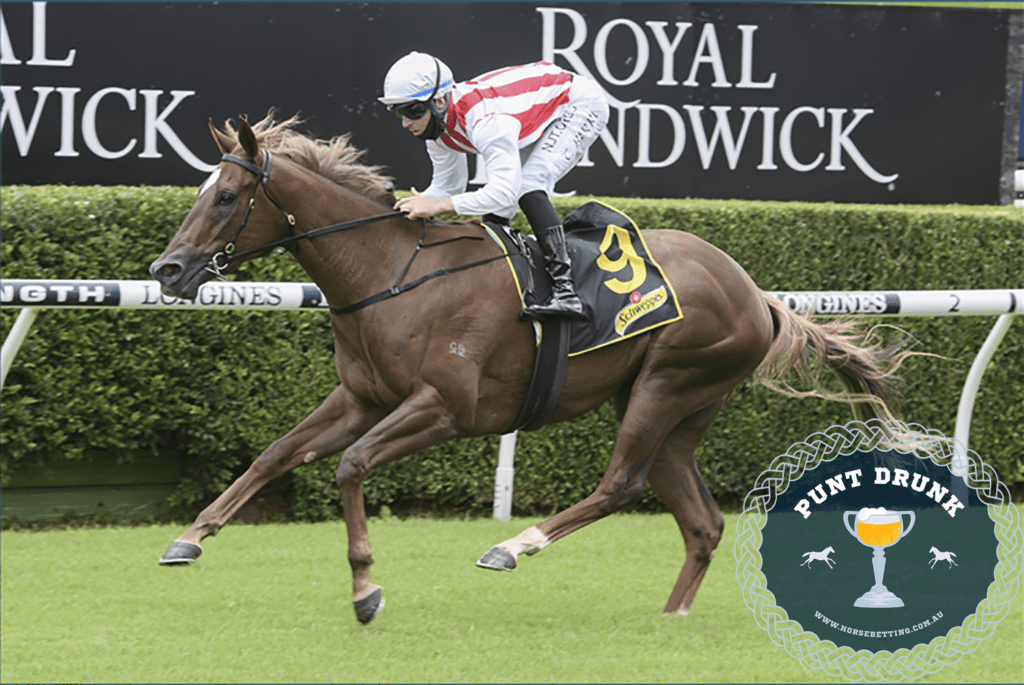 2023 Perth Cup Betting Guide | Odds & Information | Past Winners