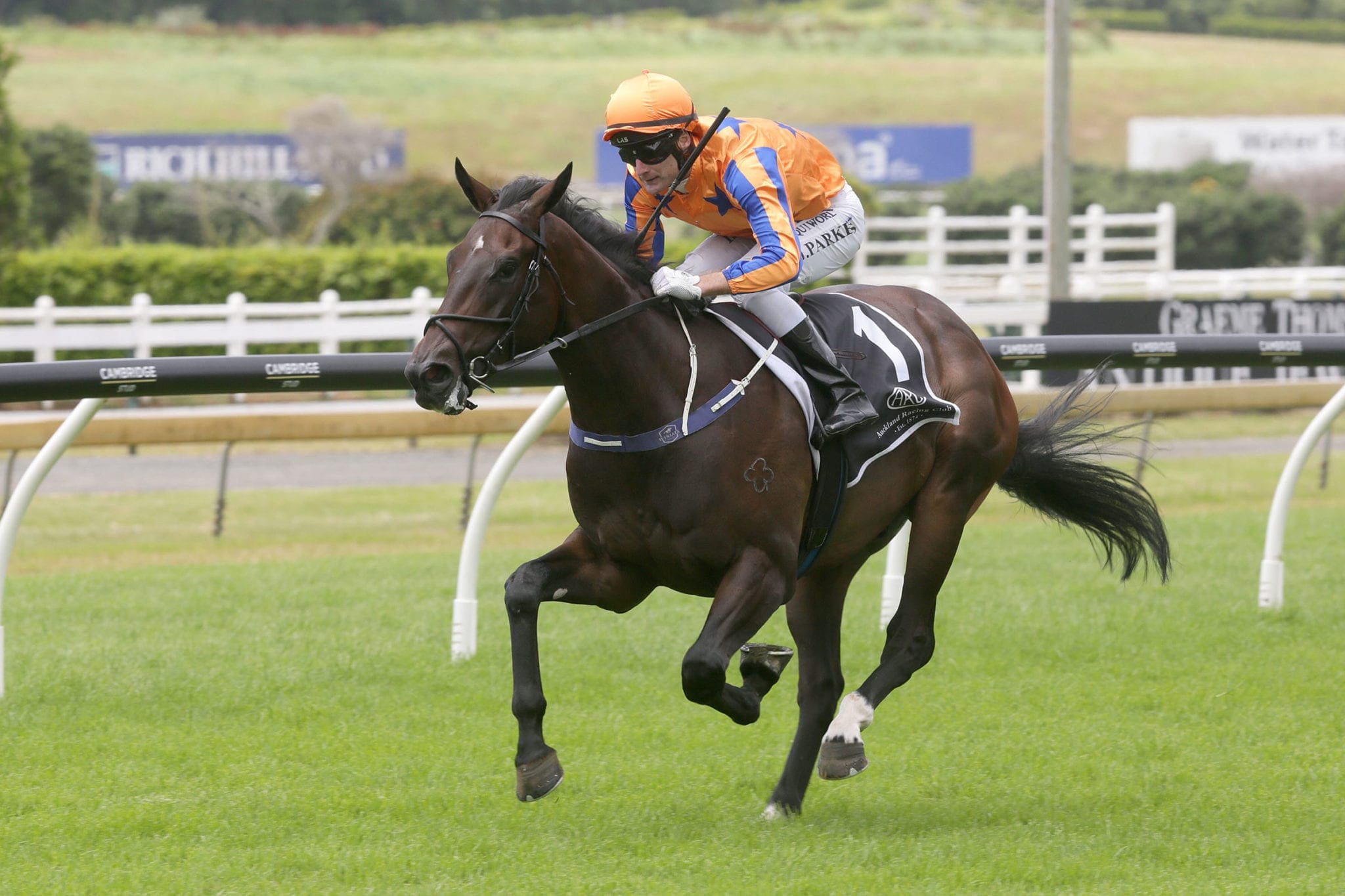 On The Bubbles produces champagne performance