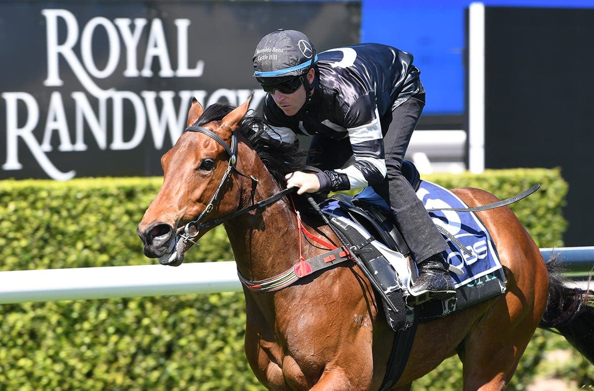 2021 Widden Stakes Top Betting Tips And Best Odds | Rosehill
