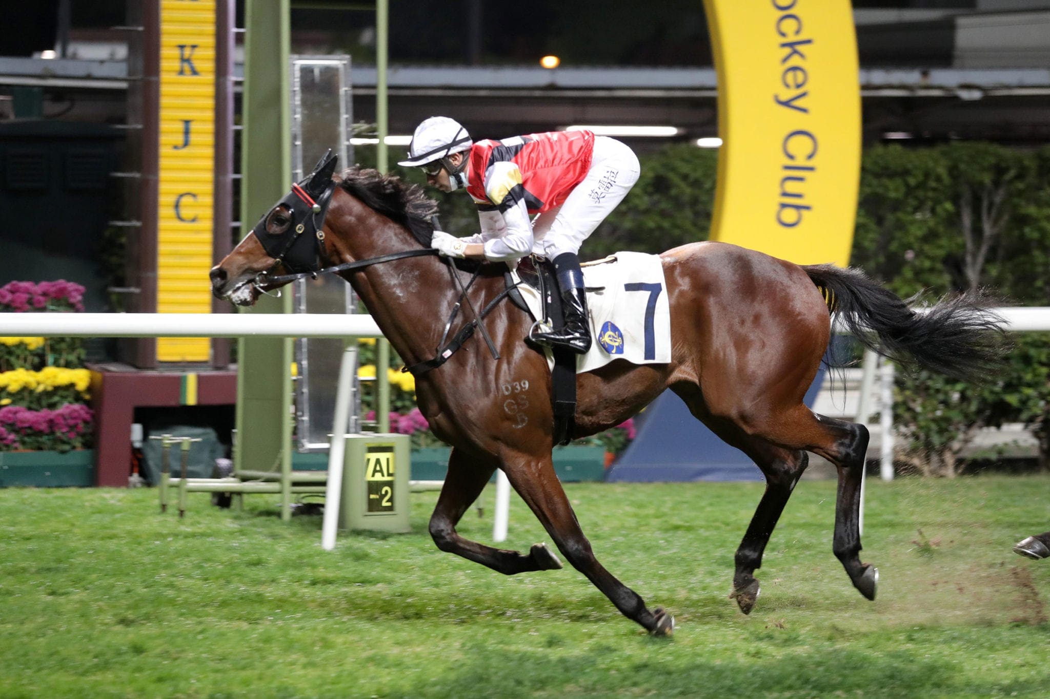 Hong Kong horse racing news | Horse Betting