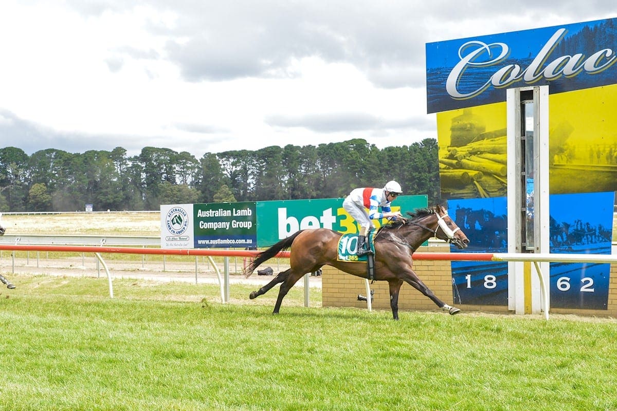 Colac Racing Tips, Top Odds & Quaddie Selection | Sunday, 14/2/21