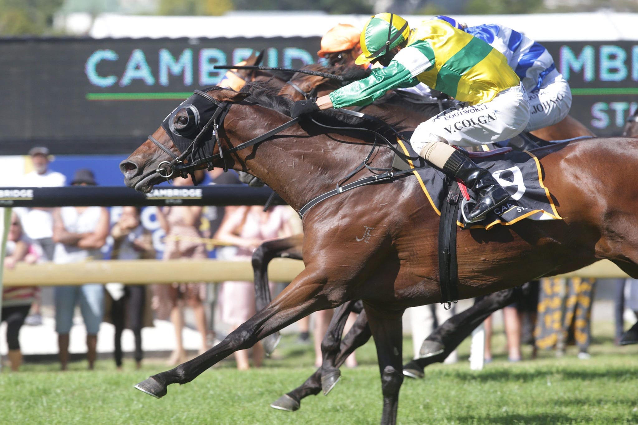 James farewells star mare, looks for big run from another