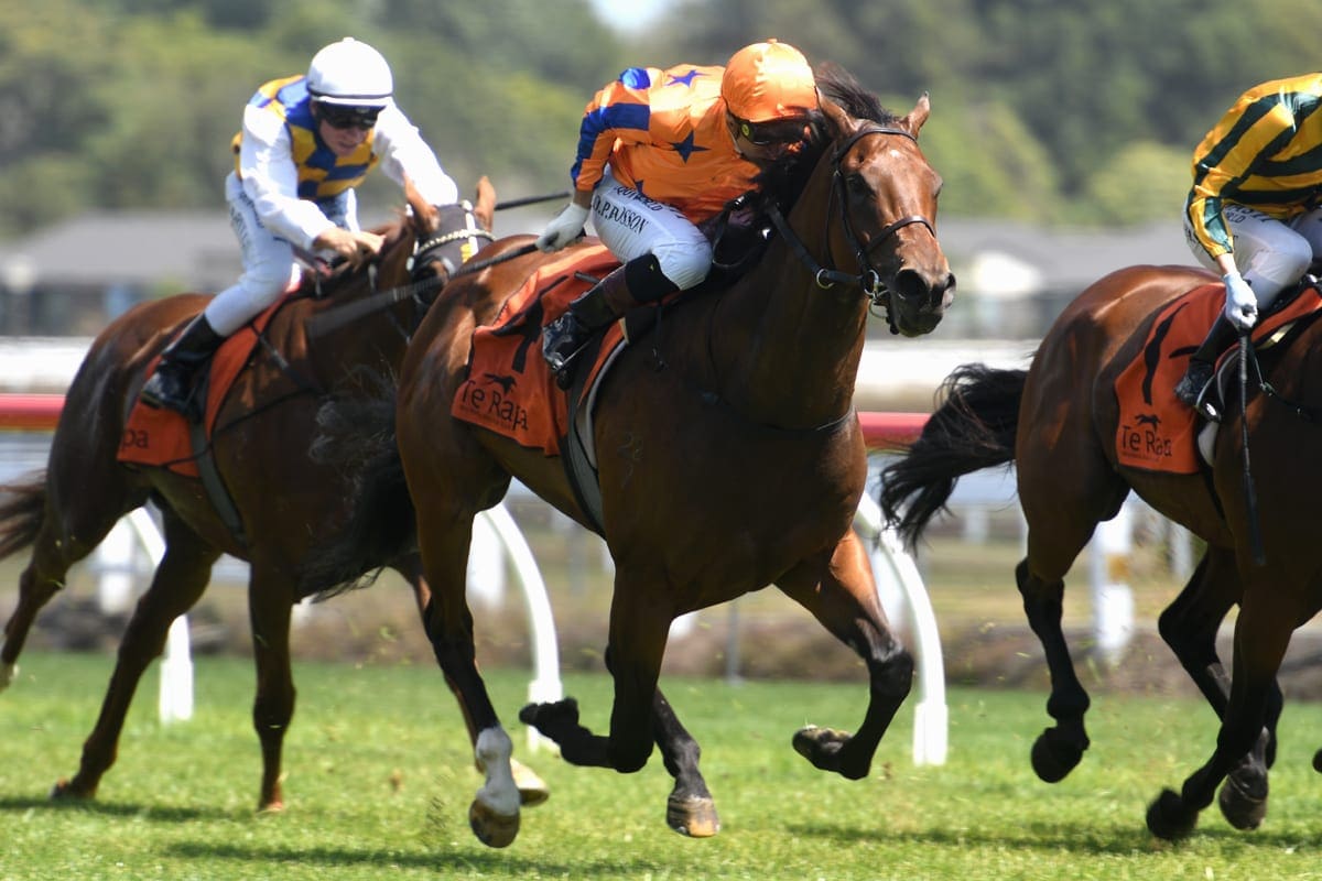 Derby prospects on show at Te Rapa