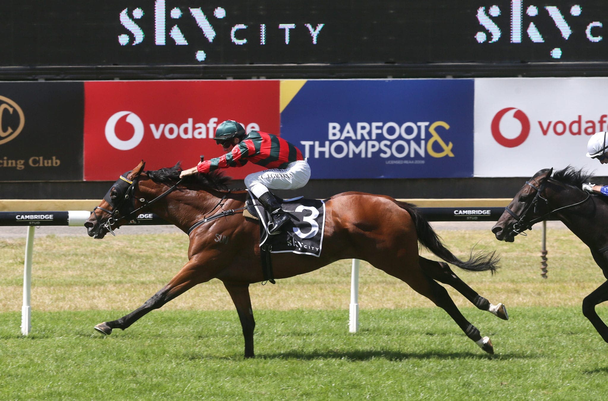Te Rapa test for Derby favourite