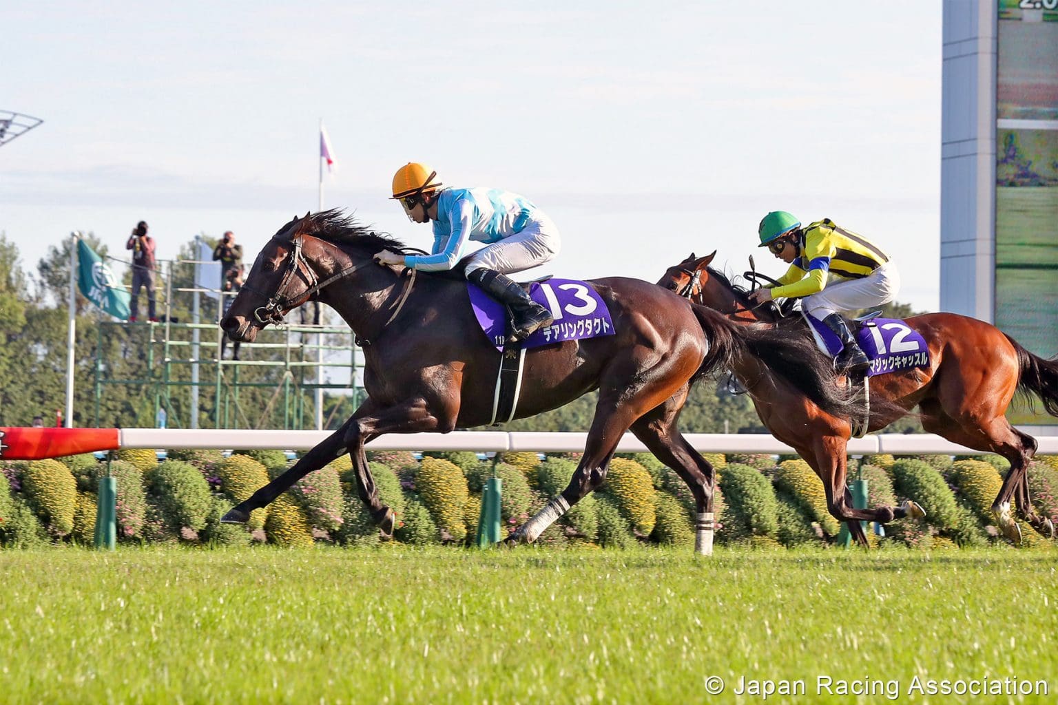 HKJC | Horse Betting