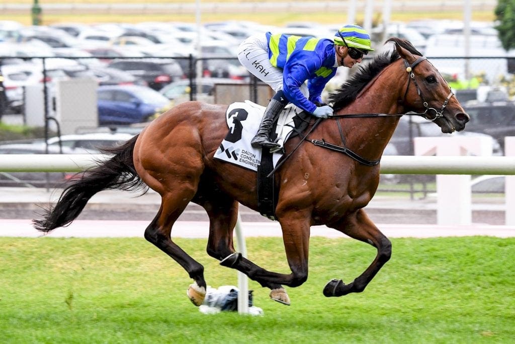 Track gallop to determine Derby start