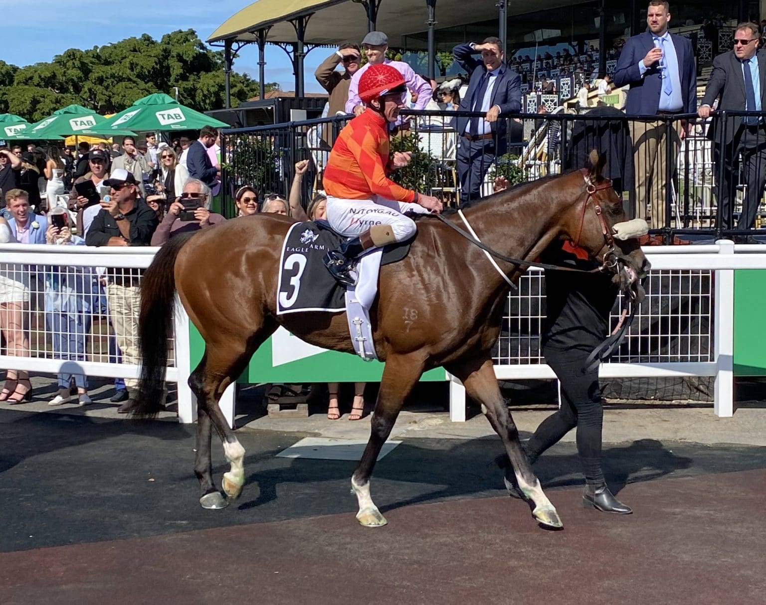 Toowoomba Racecourse | Tips | News | Clifford Park Map | Betting