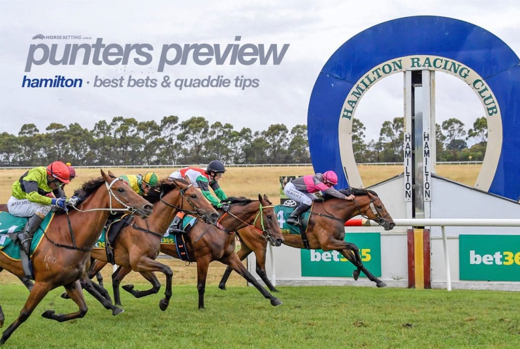 Tuesday’s Hamilton racing tips & quaddie | December 12, 2023 - BOAY ...