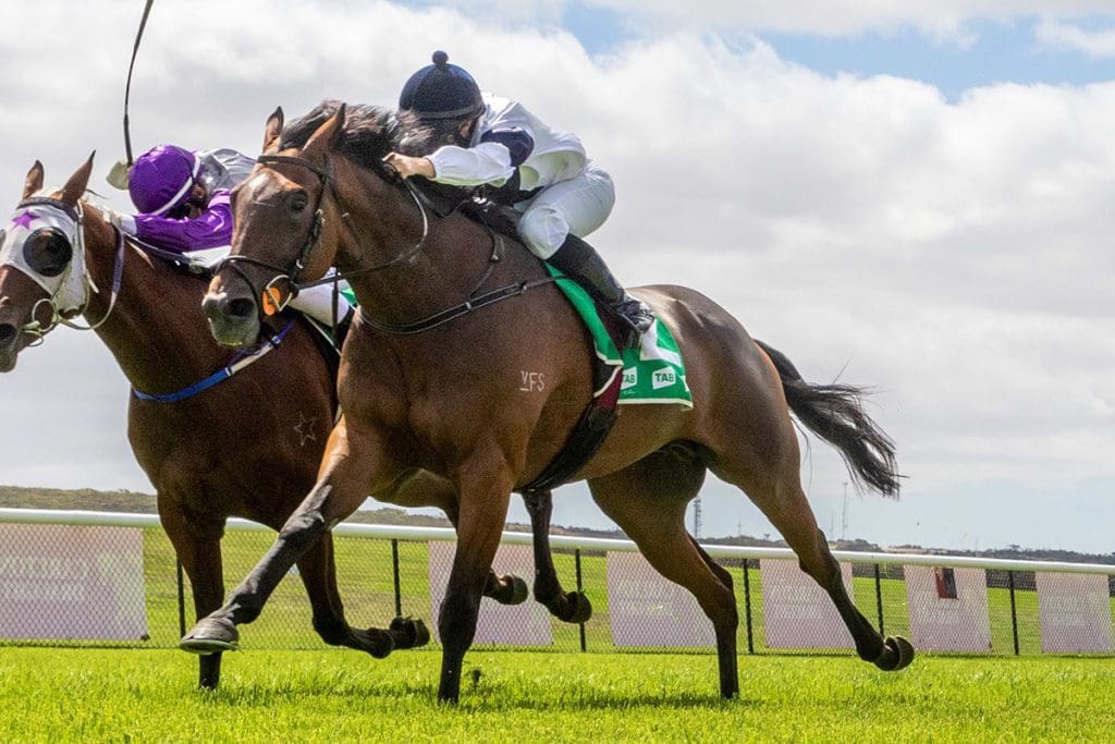 Oath Of Omerta still 12 months away from his absolute best – BOAY ...