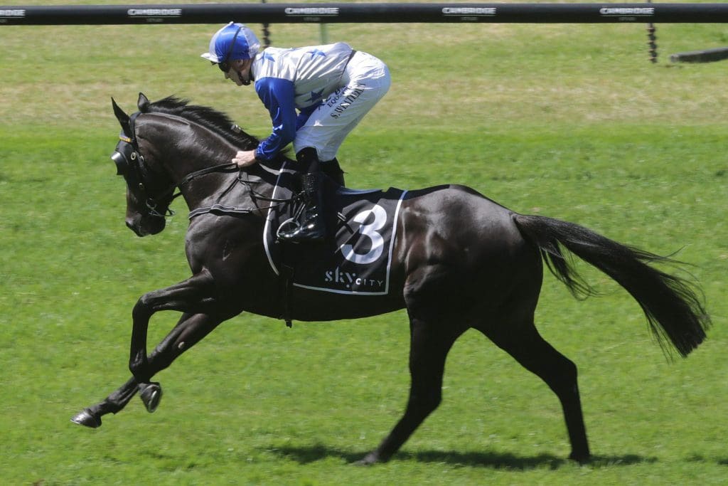 Dark Destroyer Ready To Kick Off Queensland Campaign