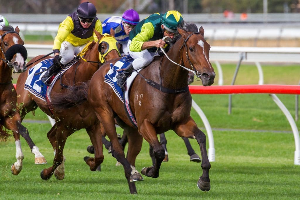 2023 South Australian Derby Guide | Field | History & Odds
