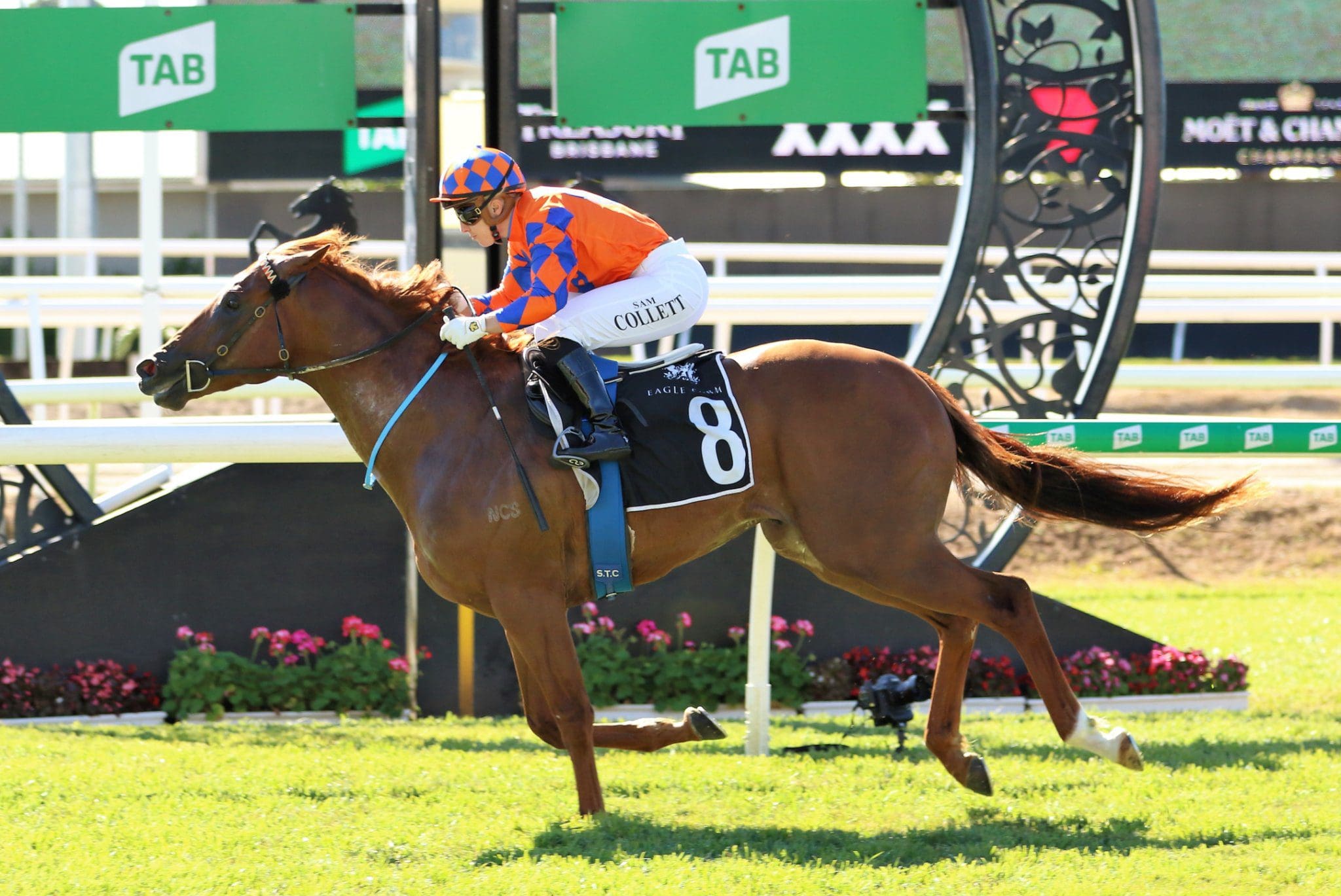 Johnny Rocker Out To Remain Unbeaten In Life Members Stakes