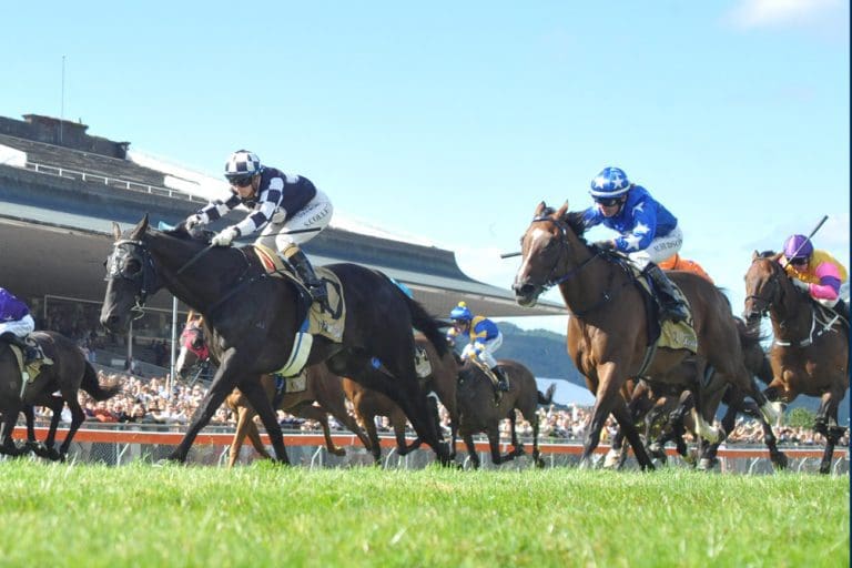 Bluey's Chance Set For Another Crack In The Group 3 Winter Cup