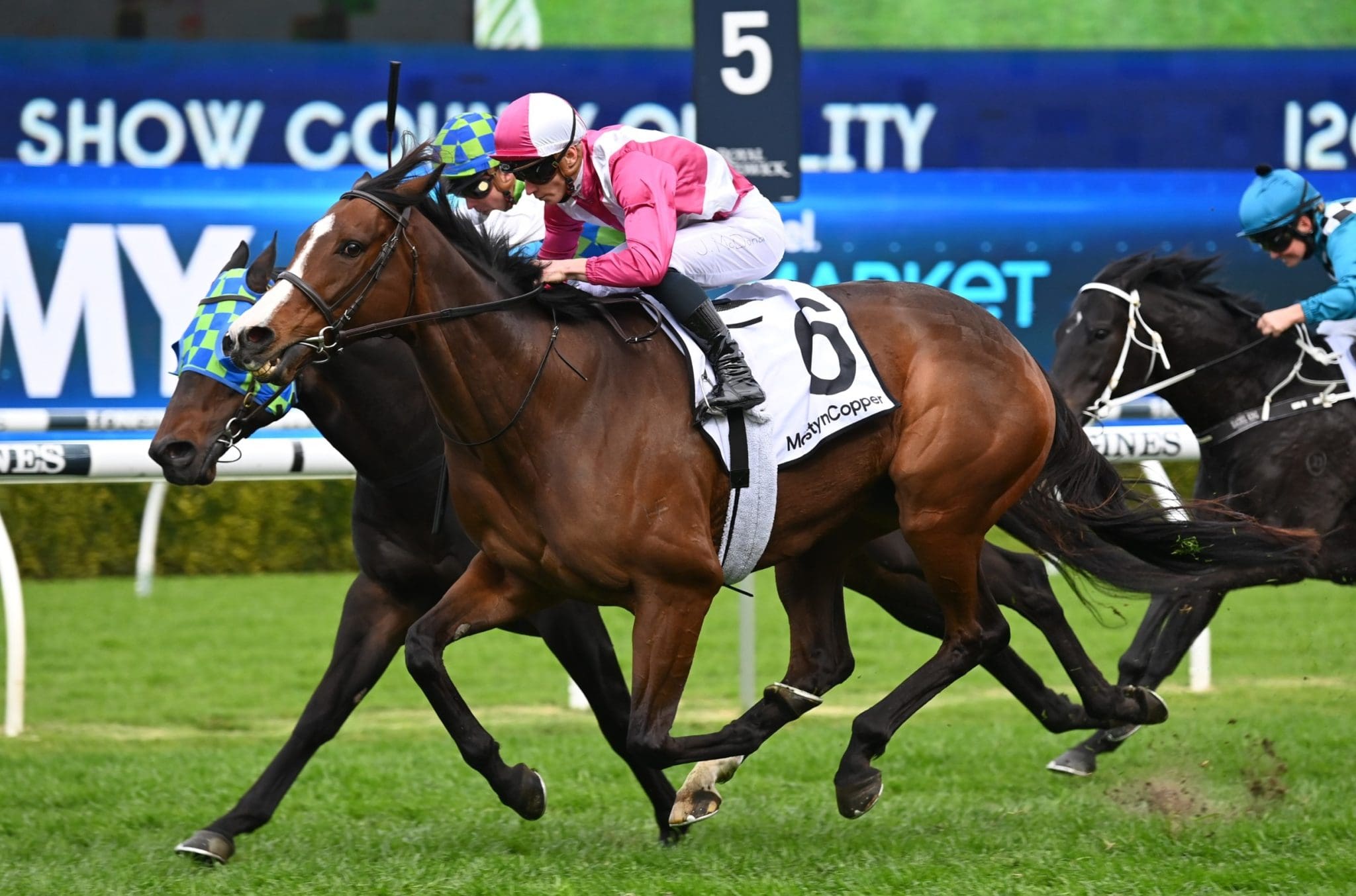 Showmanship Claims Show County Quality In Fine Fashion