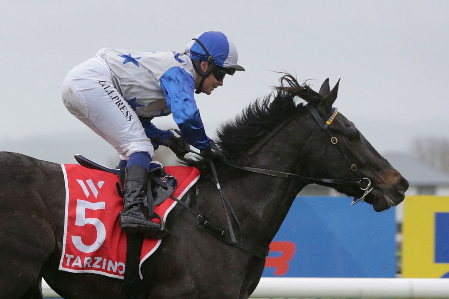 Dark Destroyer Ruled Out Of Arrowfield Stud Plate