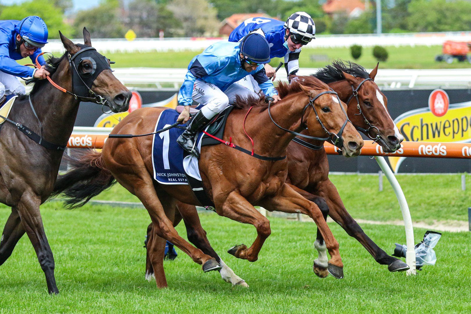 Waller wins 8th Wyong Gold Cup with Durston – BOAY Racing News