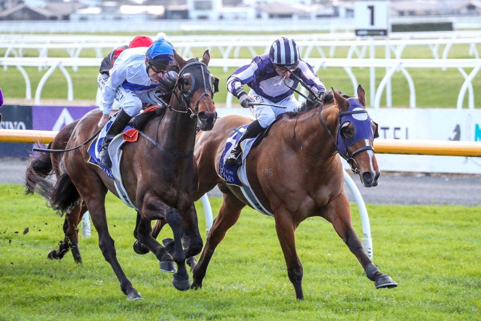 Four Queens Nabs Stablemate Sacred Giant At Riccarton
