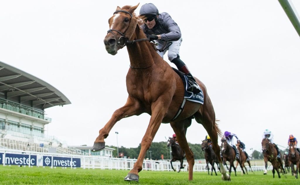 Can Serpentine win the 2022 Melbourne Cup? – BOAY Racing News