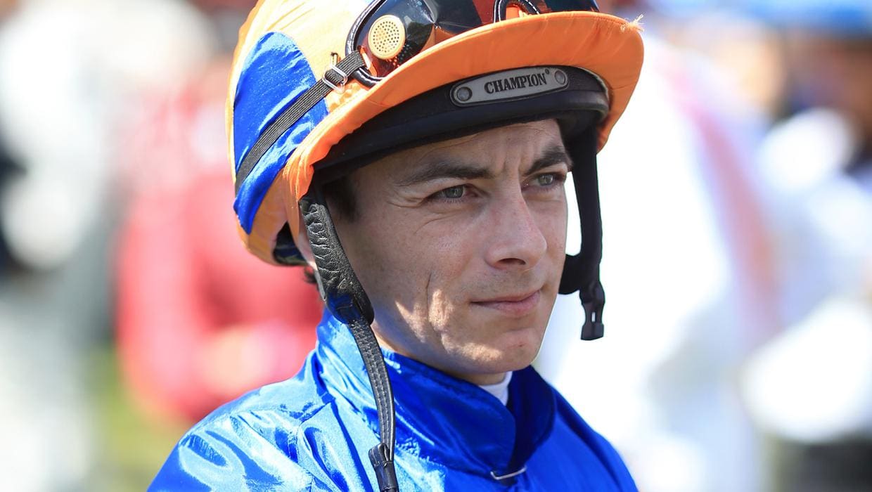 Wayne Lordan | Melbourmne Cup Record | 2024 Melb Cup