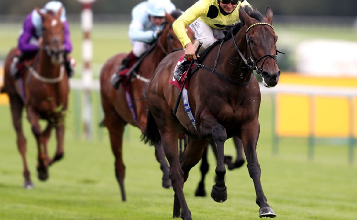 Can Without A Fight Win The Group 1 2022 Melbourne Cup?