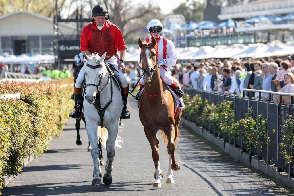 Giga Kick wins Danehill Stakes by the barest of margins – BOAY Racing News