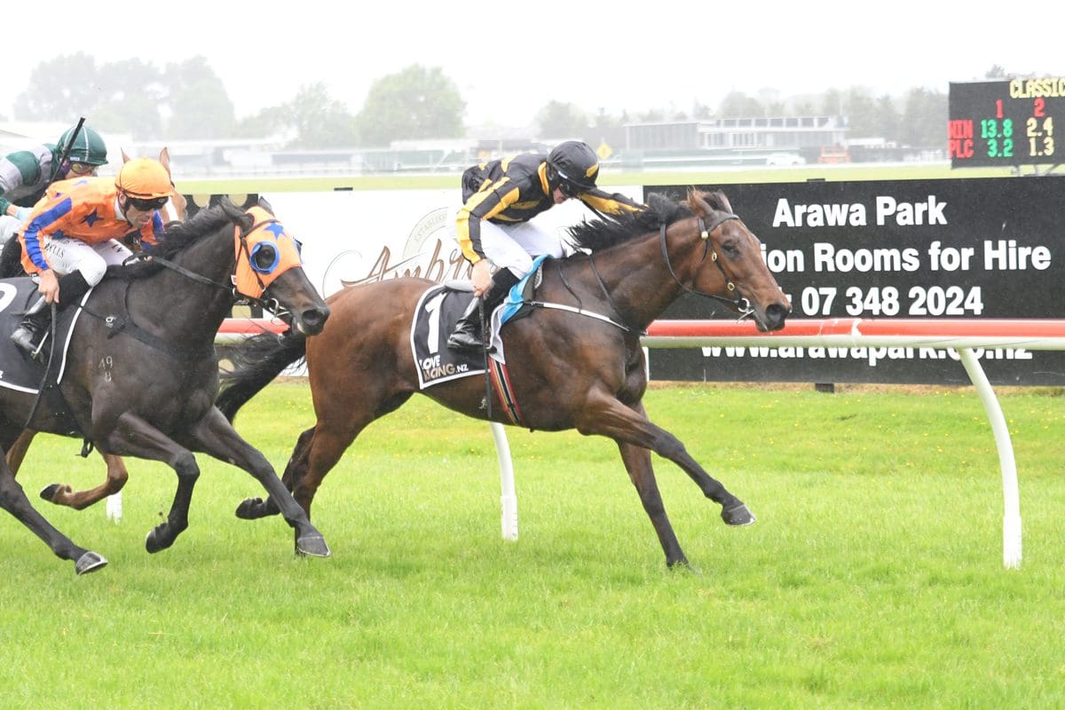 Irish Hoop Doyle Rides Winning Double At Rotorua On Tuesday