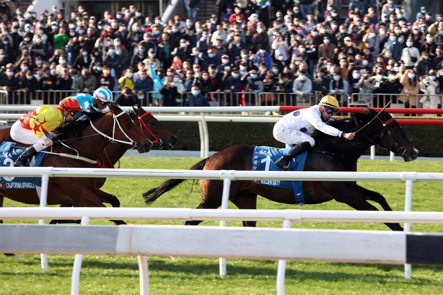 Golden Sixty reigns supreme in gripping Stewards’ Cup showdown - BOAY ...